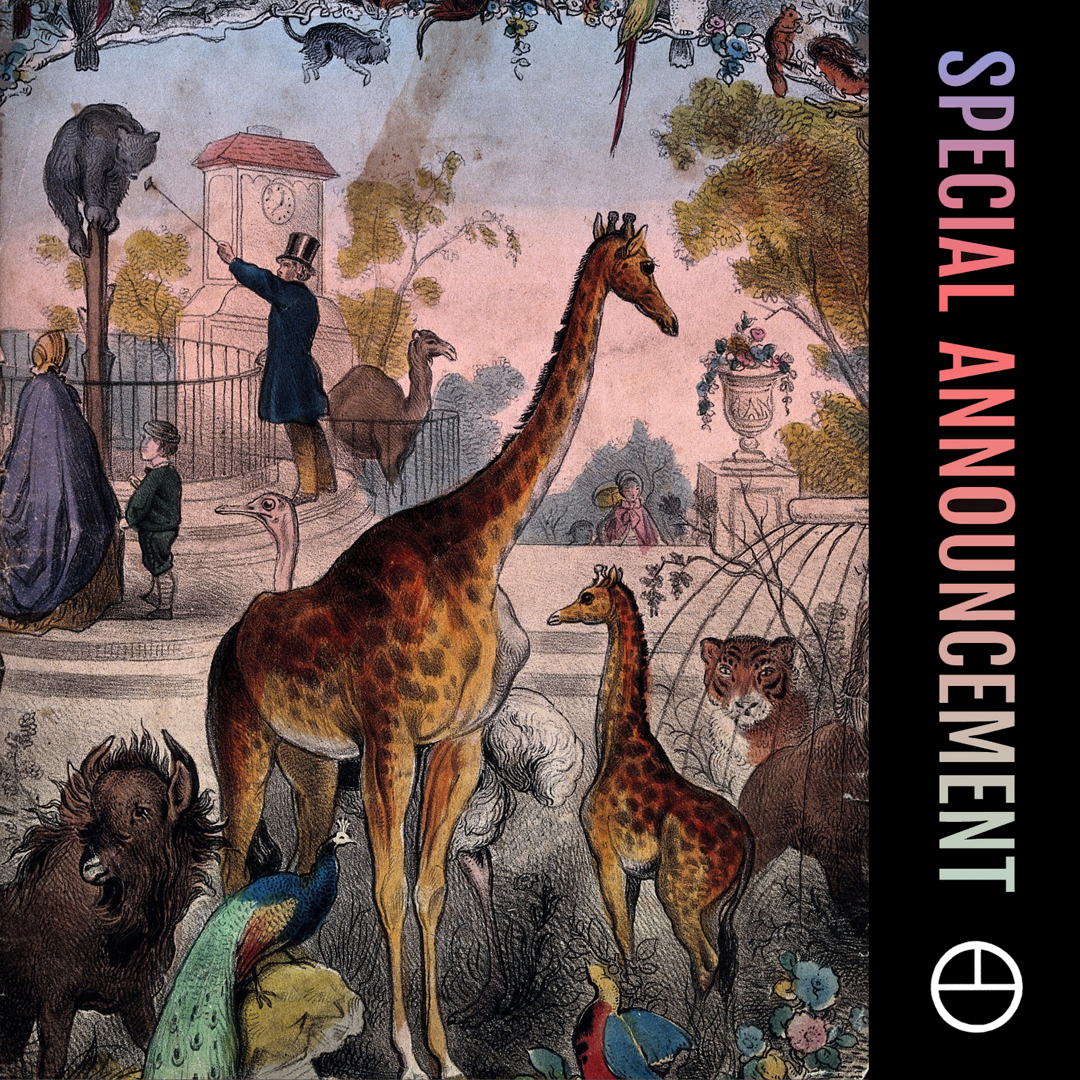 ‘ZZOO’manuscript acquired by Palimpsest Press – MA|DE